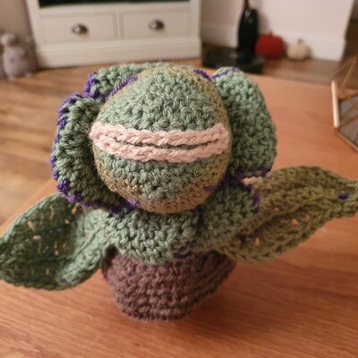 PATTERN ONLY Baby Audrey II Plant Crochet Pattern Little Shop of ...