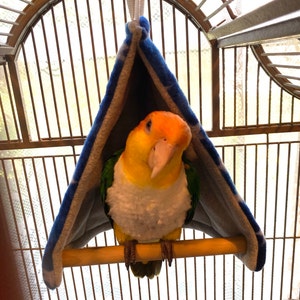 Bird Teepee Bird Tent Bird Bed for Conures Caiques - Etsy