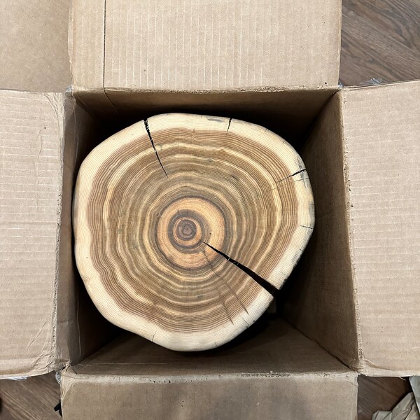 Cedar Stump Side/end Table - Etsy