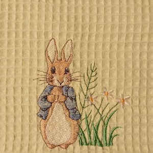 The Tale of Peter Rabbit Embroidery Machine Digital Files , Peter ...