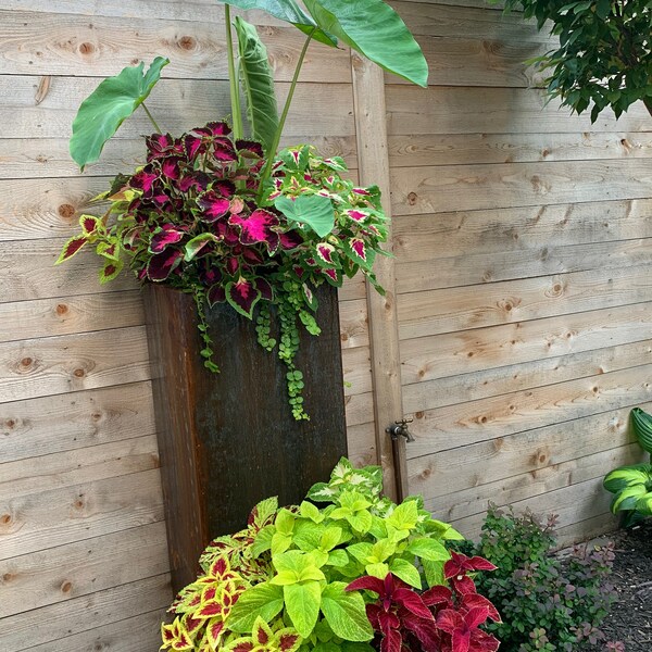 Corten Steel Column Planter - Etsy