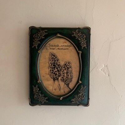 Pen and Ink Shell Diagram Drawing Print 8x10 Vintage like Sea - Etsy