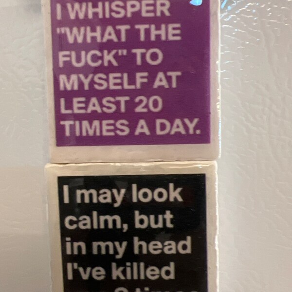 Sarcastic Magnet, Funny Magnet, Office Magnet, Funny Fridge Magnet ...