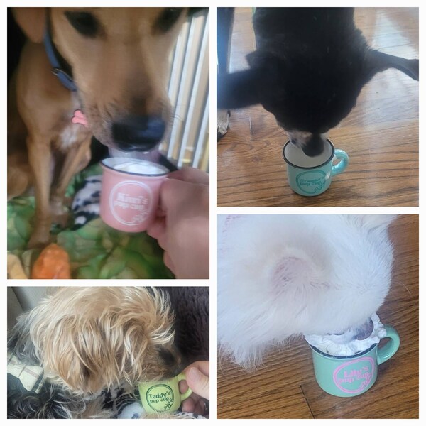 Reusable Pup Cup | Custom Puppuccino Mug | Dog Mom Gift | 2oz ...