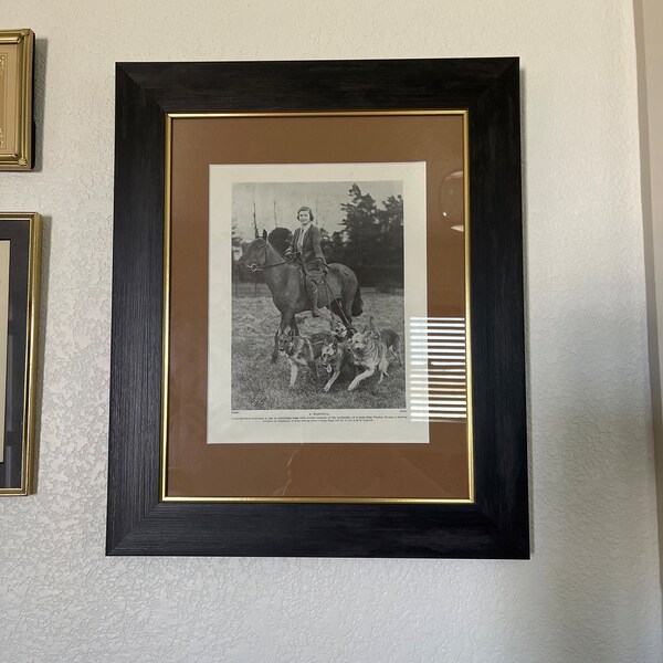 Antique Dalmatian Print Wall Art Decor 1935 K Barker Dalmatian Puppy ...