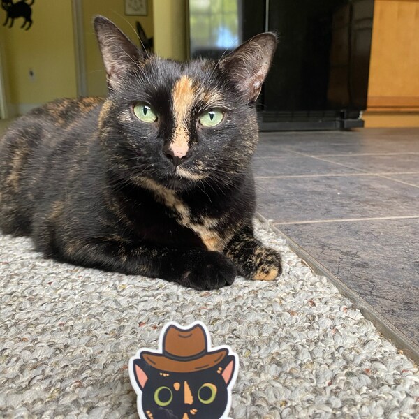 Meowdy Tortoiseshell Cat - Cowboy Cat Meowdy Tortoiseshell Cat in ...