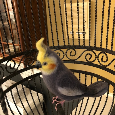 The Felt Bird Cockatiel. Handmade Felted Bird. the Most Widely Kept ...
