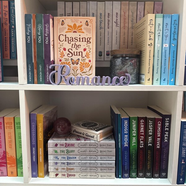 Romance Bookshelf Sign Library Book Lover Gift Custom Colors Book Club ...