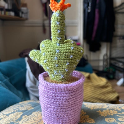 Cactus Hand CROCHET PATTERN / Amigurumi Cactus PDF English Pattern ...