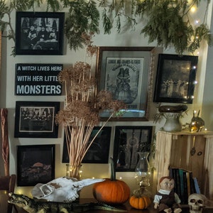 UFO Identification Chart 1967 Flying Saucers Ufology Print - Etsy