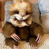 CUSTOM Realistic Cat Replica Articulated Cat Plushie Personalize Cat ...