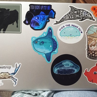 Boba Tea Shark Sticker Set - Etsy UK