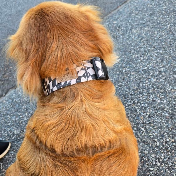 Orange and White Checkered Dog Collar, Martingale or Flat Collar, Dog ...
