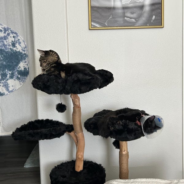 Wooden Cat Tree Tower, Wood Floral Cat Trees, Modern Cat Tree, Cat ...