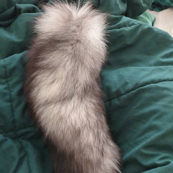 Genuine Finland Raccoon Large Size Hunting Animal Pelt Fluffy Soft ...