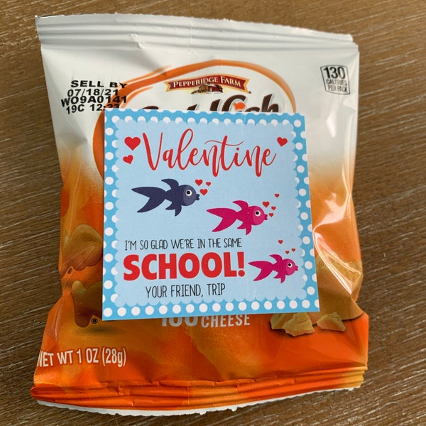 Goldfish Valentines, Kids Valentines School, Toddler Valentines, School ...