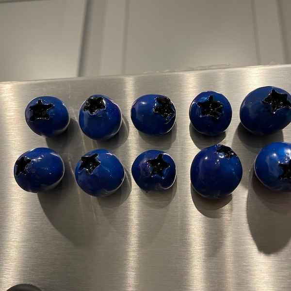 Viral Handmade Blueberry Magnets - Etsy