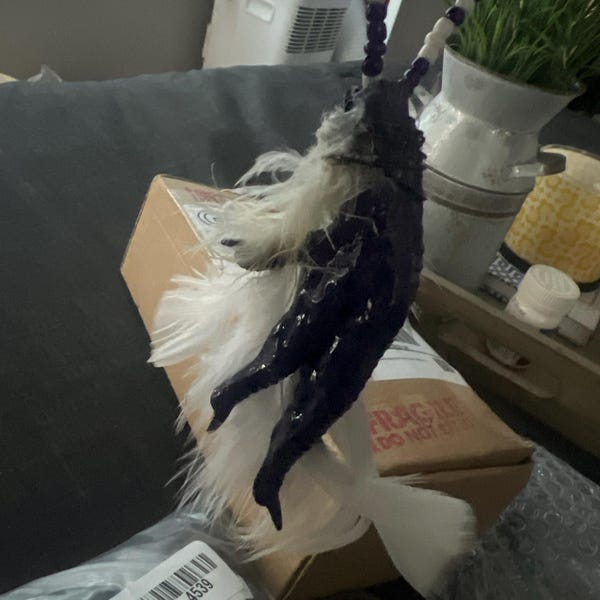 Chicken Foot Amulet - Hoodoo, Folk Magic, Protection, Charm, Witchcraft ...