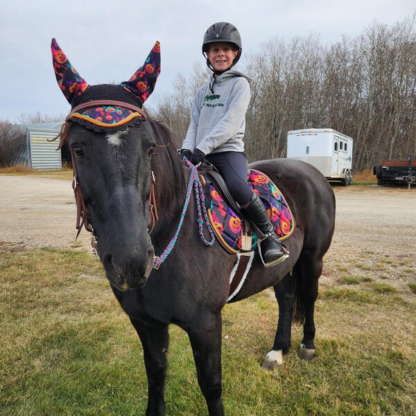 Hand Made Christmas Santa Claus Horse Ear Bonnet Fly Veil Cotton ...