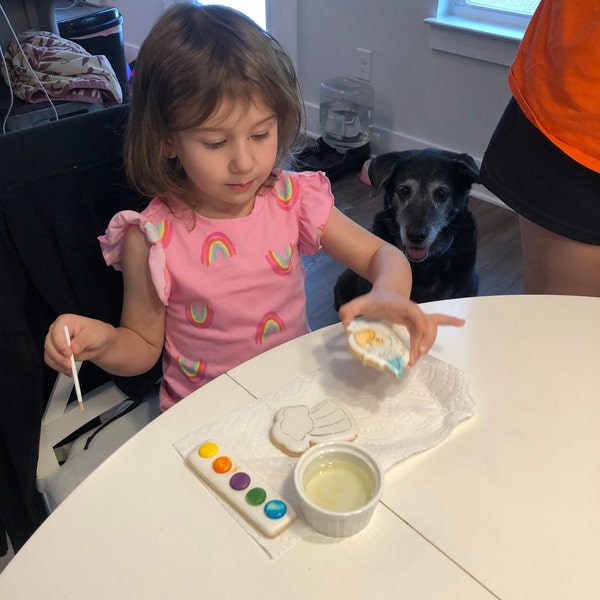 Paint Your Own Cookie Kids Activity Kits, Unicorn or Dinosaur Themes - Etsy