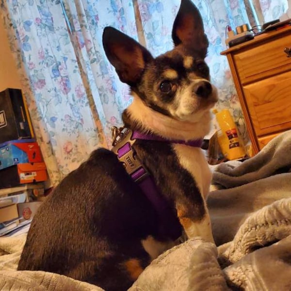 Kayu Loom | Triangle Loom | Coloring Pages | Coloring Chart | Pin Loom ...