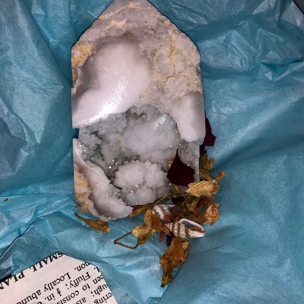 Sea Witch Travel Altar, Mini Witchcraft Altar Set, Sea Goddess, Mermaid ...