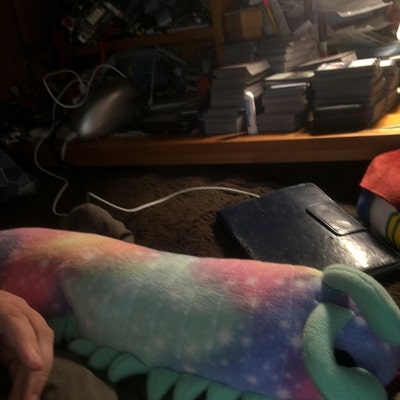 Rainbow Centipede Plush Centipede Toy Plush Bug Plush - Etsy