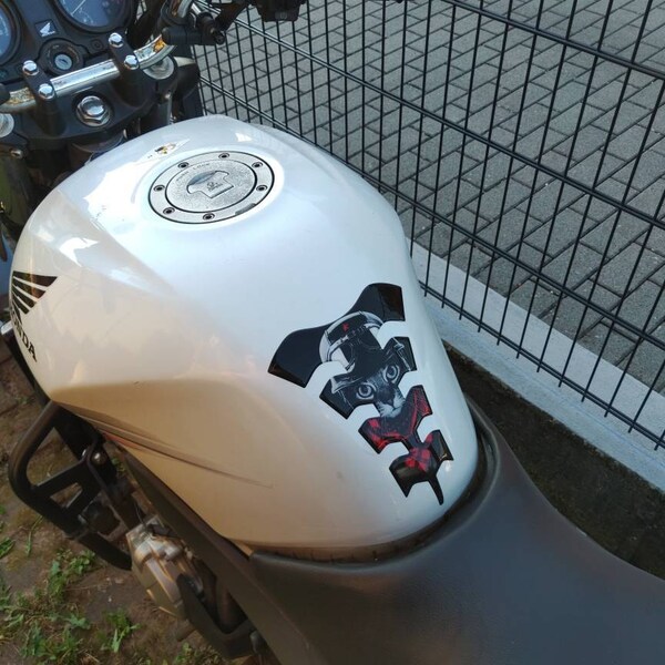 Skeleton Rider Universal 3D Tank Pad Sticker Decal for Motorcycle or ...