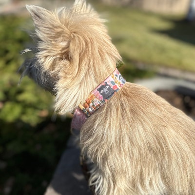 Easy Dog Tag Changer, Dog Collar Id Tag Clip With Lobster Clasp and ...