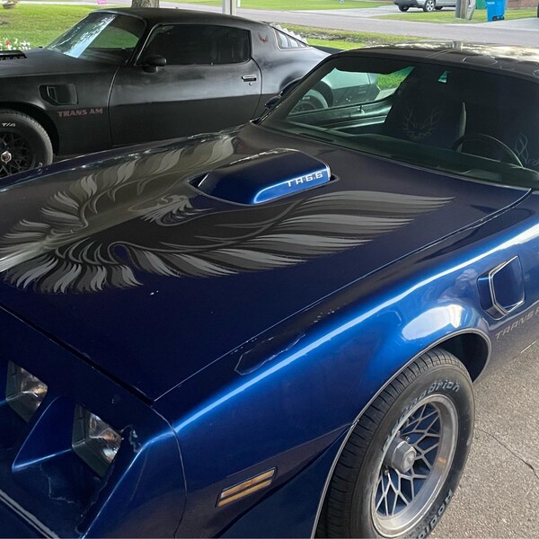 Kingdom of Saudi Arabia KSA Arab Arabic Euro European License Plate ...