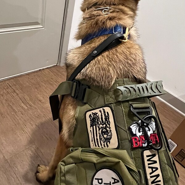 Guard Dog Patch, Shepherd Flag Patch, Do Not Provoke Patch. Dog Vest ...