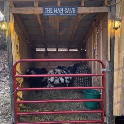 Boss of the Toss Sign, Custom Corn Hole Winner Gift, Personalized Bags ...