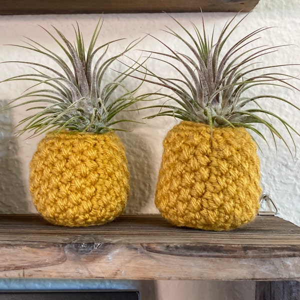 Crochet Cupcake Cup Cozy Pattern, Instant PDF Download (digital) - Etsy