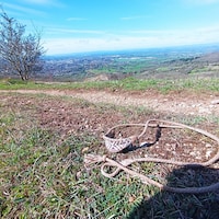 Wicker Quiver - Etsy UK