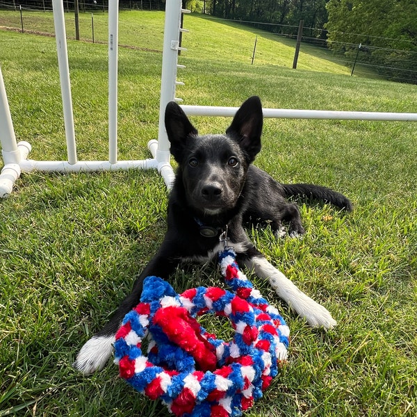 Custom Handmade Fleece and Minky Dog Leash - Etsy