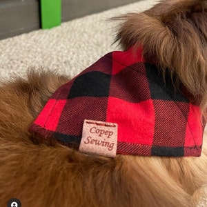 Concha Dog Squeaky Toy Concha Toy Mexican Sweet Bread Toy | Etsy