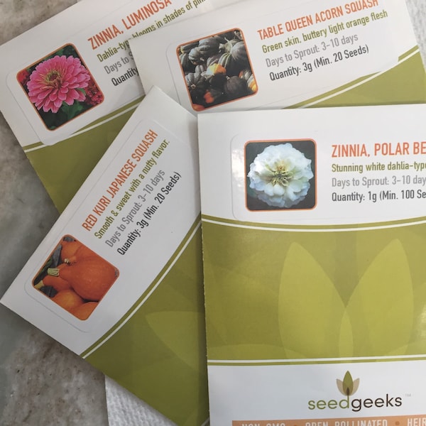 Zinnia, Polar Bear White Heirloom Seeds, Flower Seeds - Etsy