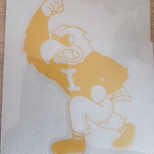 Kinnick Wave, Hawkeye Wave, University of Iowa Children's Hospital ...