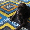 Catty Corner Quilt Pattern PDF Download - Etsy