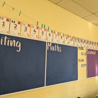 PLANTS & FOLIAGE Complete Classroom Display Bundle, Customizable ...