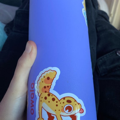 Pet Reptile Stickers full Set of 12 Matte-laminated Stickers for ...