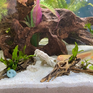 BUY 2 GET 1 FREE Cholla Wood Sticks Cholla Drift Wood Beautiful ...