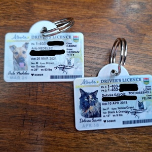 Texas Driver Dog Id Tag Personalized License Durable Dog Tag - Etsy
