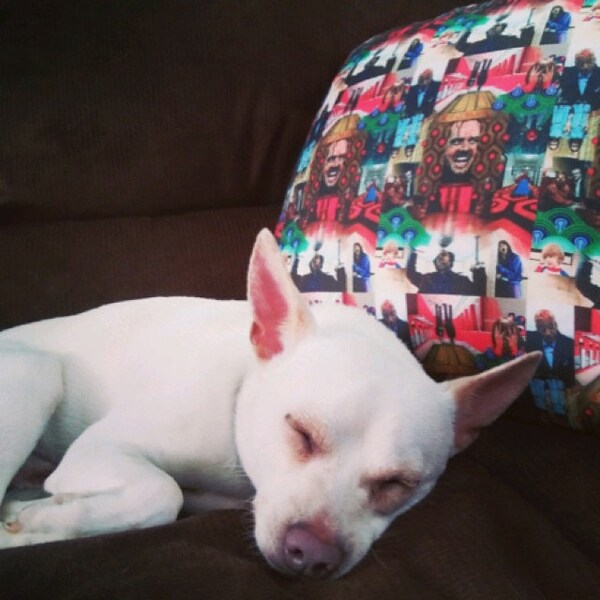 Samara Doll 15 Tall With VHS Tape / the Ring / Samara Morgan - Etsy