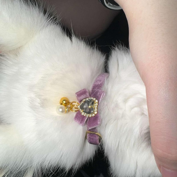 Pearl Cat Collar/sky Blue Cat Collar/light Blue Collar/puppy and Kitten ...