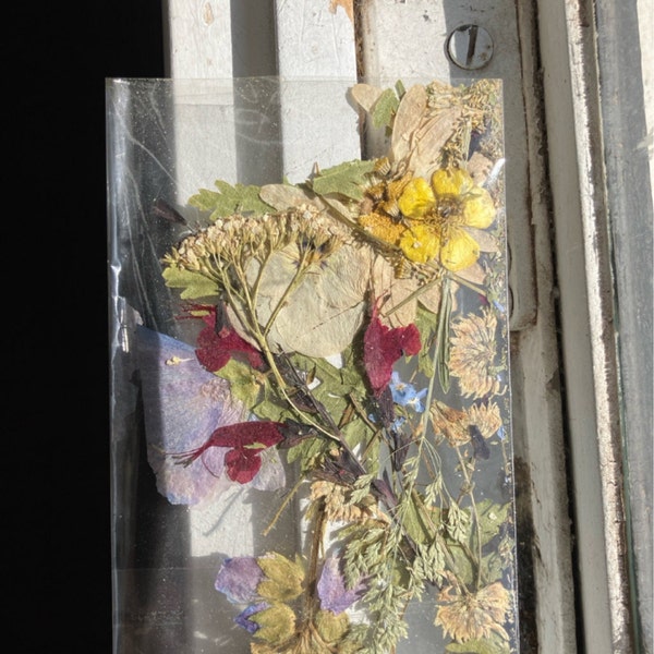 Pattern Only! Crochet Lizard Pattern Amigurumi Lizard Plush Gecko ...