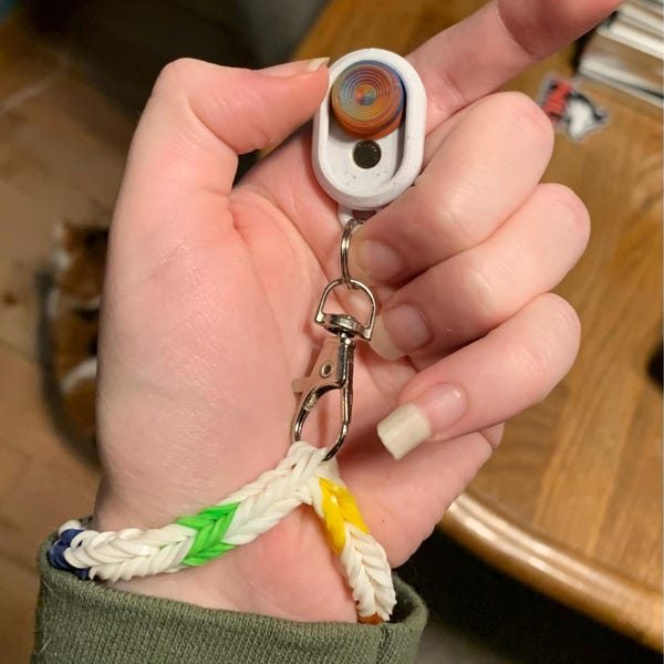 3D Printed Customizable Keychain Magnetic Haptic Slider Fidget Toy ...