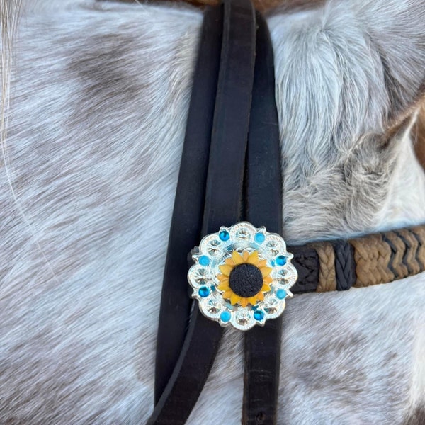 Unique Concho, Draggonfly Concho, Custom, Pink Glitter, Faux Druzy ...