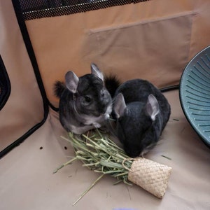 Au Naturel Chinchilla / Rat / Degu / Rabbit / Guinea Pig / | Etsy