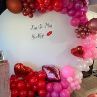 Car Dent Decal Wile E Coyote Splat HQ Vinyl Sticker Decal for Car Auto ...